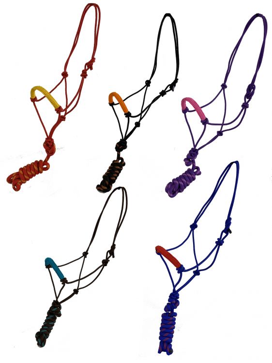 Shiloh Stables and Tack: Showman ® Horse Size cowboy knot halter with matching removable lead ...