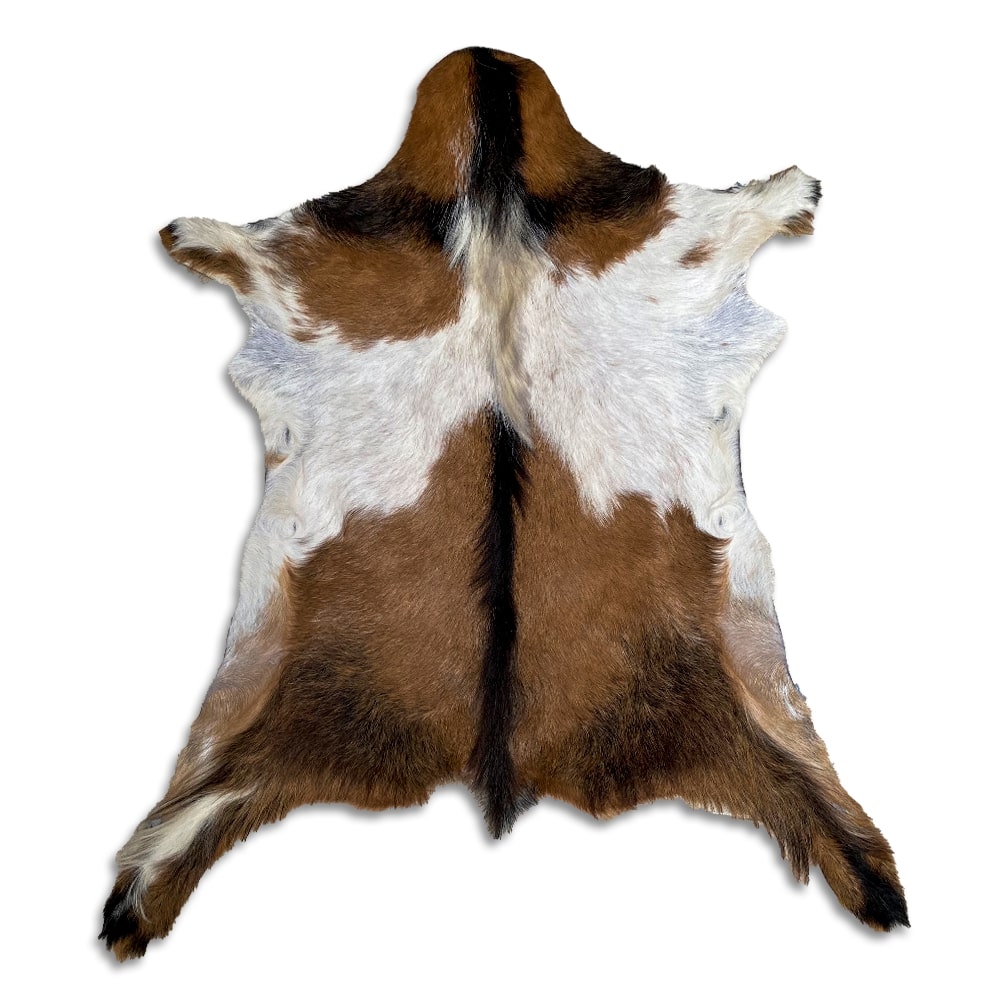 Shiloh Stables and Tack, Inc. - Wholesale Tack Distributor Tack Product ...